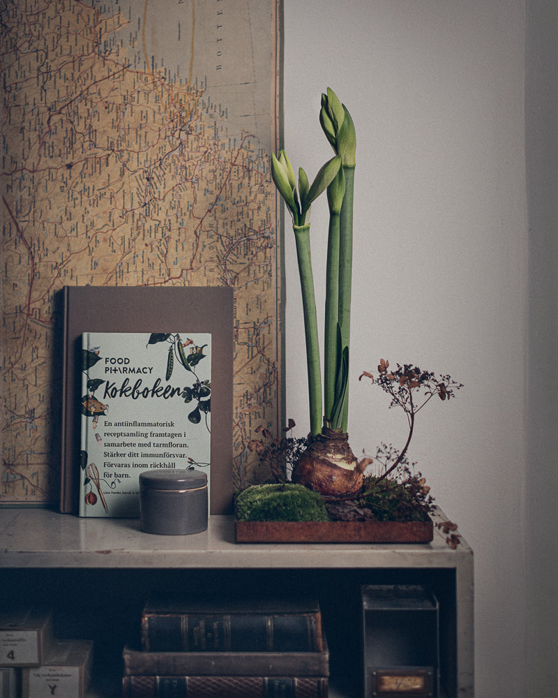 Våra växtkärl – Rota Design